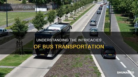 Understanding The Intricacies Of Bus Transportation Shunauto
