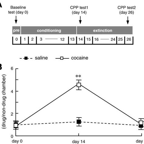 CPP Paradigm In This Study A Timeline Of CPP Procedure B Download Scientific Diagram