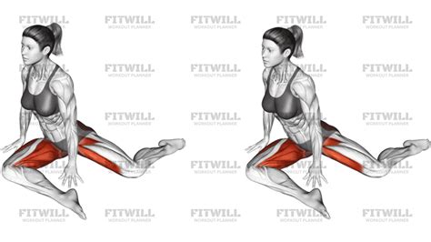 Cat Cow Stretch Exercise Guide Video Techniques Benefits How To Muscles Worked Tips