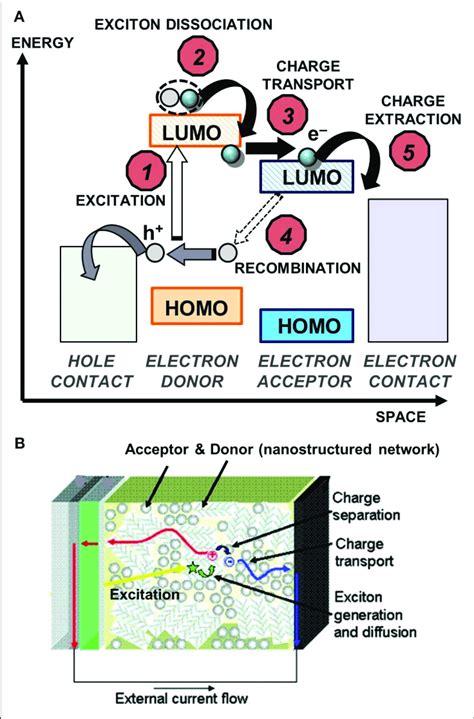 A An Illustration Of The Charge Generation By Photoexcitation Download Scientific Diagram