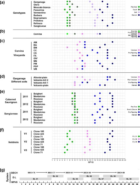 Scaling Of Previously Published Berry Transcriptomic Samples Onto The Download Scientific