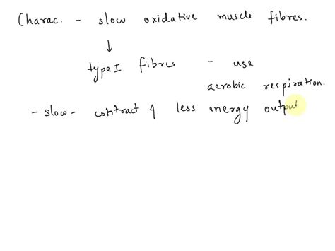 solved what characterizes fast twitch muscle fibers multiple choice