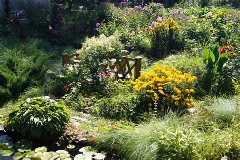 Многолетние цветы не требующие ухода