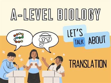 Translation A Level Biology AQA Teaching Resources