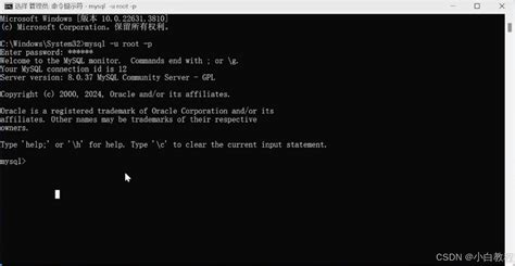 MySQL 超详细安装配置教程小白零基础入门超详细含图文及环境变量设置附安装包 小学生学IT 博客园