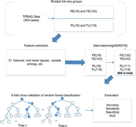 Flow Chart Of The Proposed Method Note Pe Preterm Delivery With Ehg