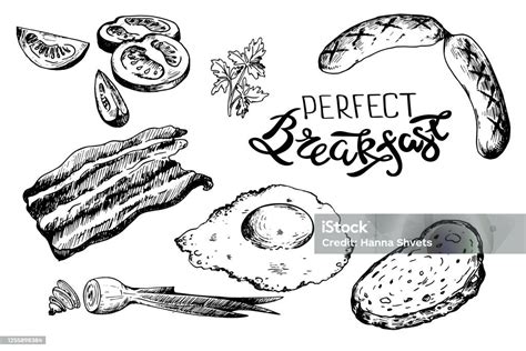 아침 아침 식사 손으로 그린 일러스트레이션 세트 튀긴 계란 베이컨과 빵 토마토 파슬리 구운 소시지 파 스케치 낙서 벡터