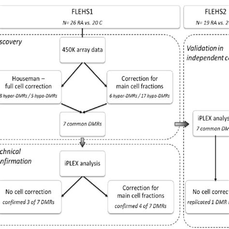 Schematic Overview Of The Various Cell Correction Methods Applied The