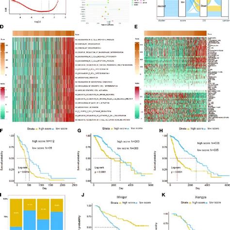Functional Annotation Of Risk Scores A Elastic Regression Analysis Download Scientific