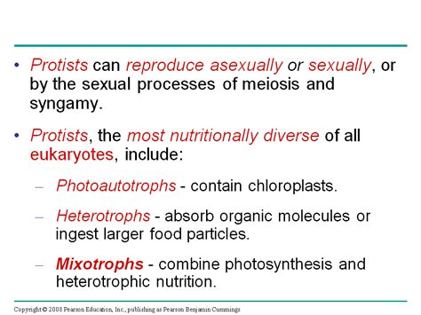 Protists Presentation Biology