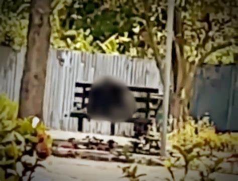 Siang Bolong Dua Sejoli Ini Berbuat Tak Senonoh Di Taman Lokomotif