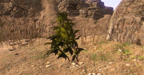 Unity 5 Speedtree Linear Billboard Still Broken Unity Engine Unity Discussions