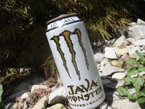 Energy Drink Review Java Monster Lo Ball Everyview