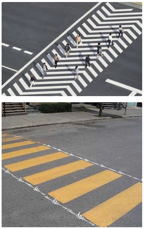 Zebra Crossing Vs At Cristina Lee Blog
