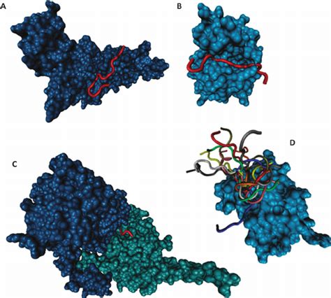 Disordered Nature Of The Acetylation Sites A Crystal Structure Pdb