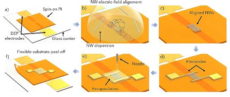 Figure 1 From Influence Of Printed Encapsulation Layer On The