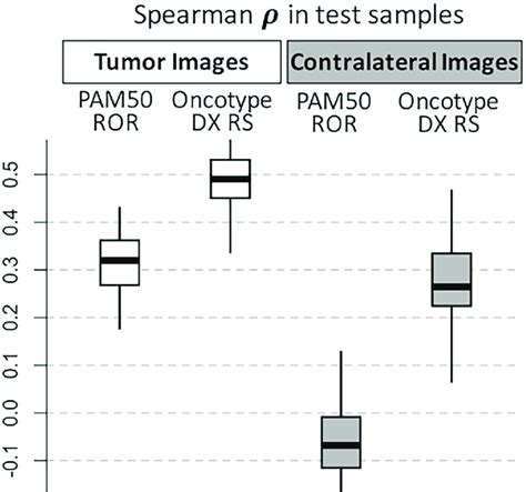 Distribution Of Test Correlations In The Cross Validation Multivariate