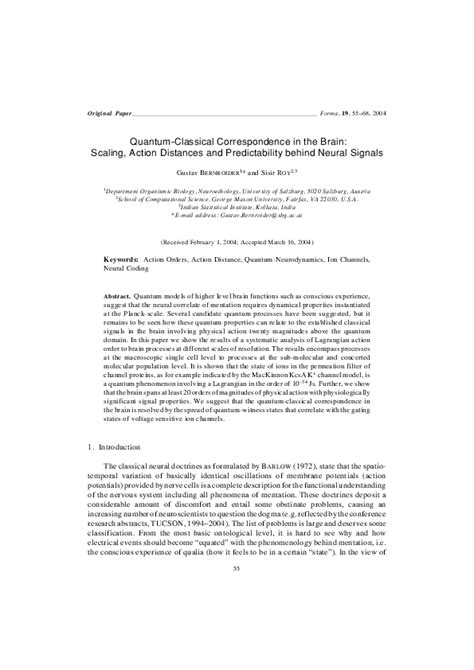 pdf quantum classical correspondence in the brain scaling action