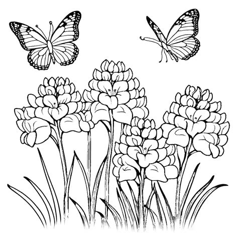 Hyazinthen Und Schmetterlinge Ausmalbild Ausmalbilder Welt