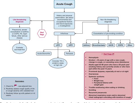 Figure 1 From Classification Of Cough As A Symptom In Adults And Management Algorithms Chest
