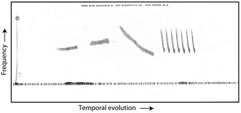 A Review On The History Of Spectrograms And How It Changed Our Samim