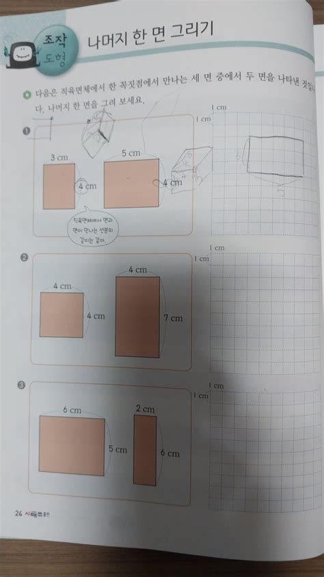 5학년 2학기 직육면체 도형 지식in