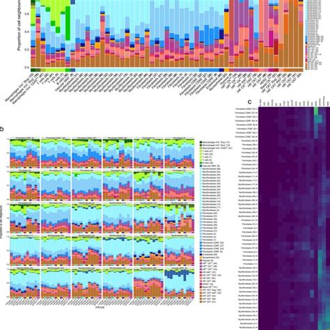 Cell Neighbours Depend On Cell Phenotype A Stacked Bar Plot Depicting
