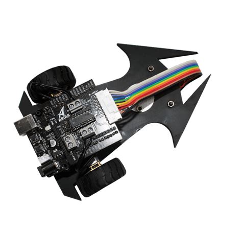 Racing Bot Abiraworld