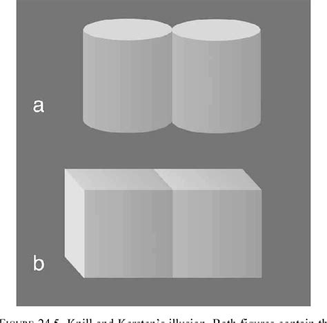 Figure 1420 From 24 Lightness Perception And Lightness Illusions Semantic Scholar