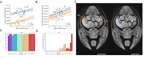 Identification Of Sex Differences In Wild Type E Mice A A Series Download Scientific