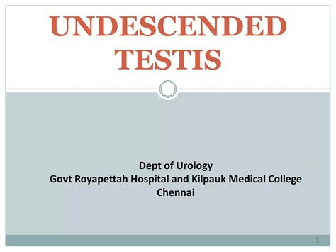 Pediatric Urology Undescended Testis Udt Pdf