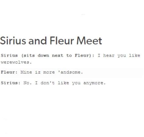 Gay Harry Potter The Error Message From Sirius And Fleur Meet