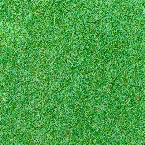 Texturise Seamless Golf Green Grass Texture Maps Texture Images