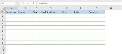 Data Entry Form Thedatalabs