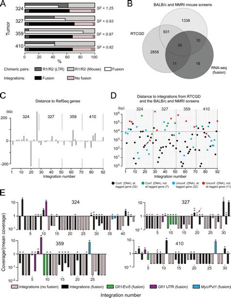 Mapping Annotation And Distribution Of Integrations From RNA Seq A Download Scientific