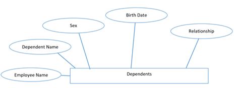Identifying The Entity Types And Attributes From The Requirements Made Easy Lec 12