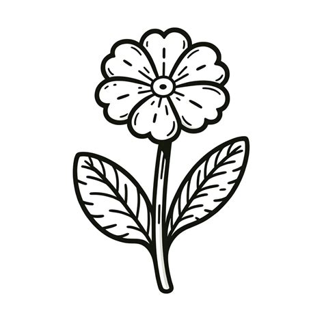 Birth Month Flower Coloring Pages Birth Month Flowers All Birth Month
