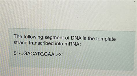 Solved The Following Segment Of Dna Is The Template Strand