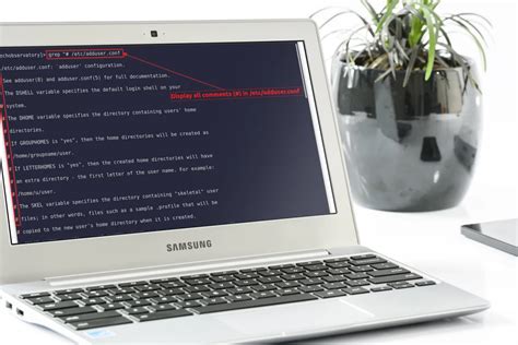 Regular Expressions In Grep Regex With Examples Coding Campus