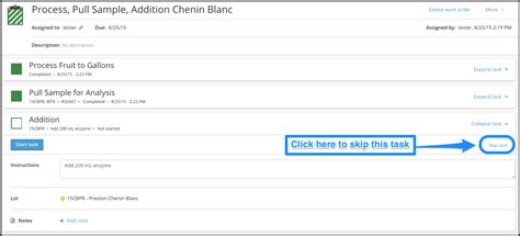 Skipping A Task Within A Work Order