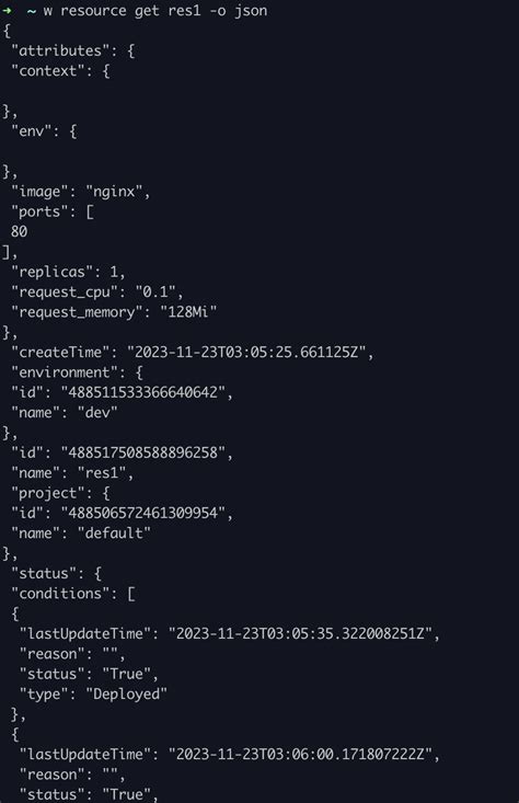 Prettify Cli Json Output · Issue 1531 · Seal Iowalrus · Github