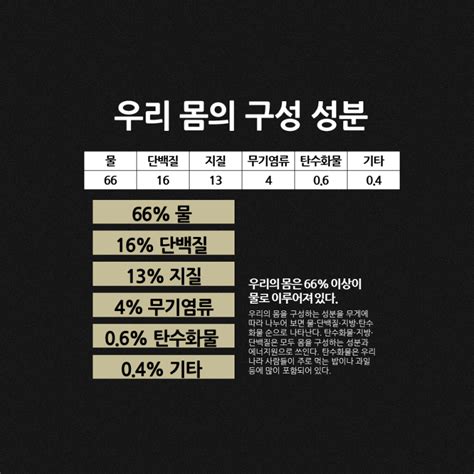 파이그래프의 변신 분석형 인포그래픽 주피티위즈 Ptwiz