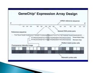 MICROARRAY PPTX