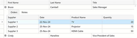 Tabbed View For Details WPF Controls DevExpress Documentation