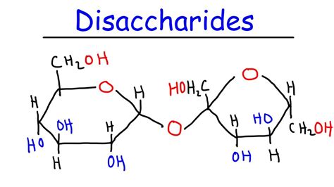 Disaccharide Molecule Structure
