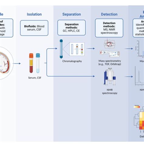 Figure Workflow In Untargeted Metabolomics In Patients With Asah
