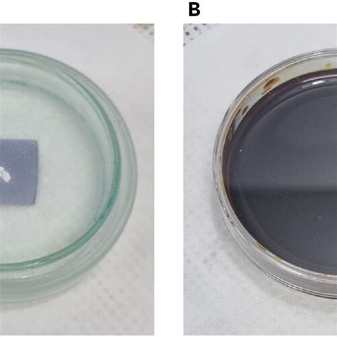 Polymer And Stressor Removal Process A Remove Pmma By Dipping In
