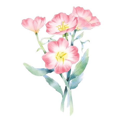 手绘水彩粉色花朵花卉元素