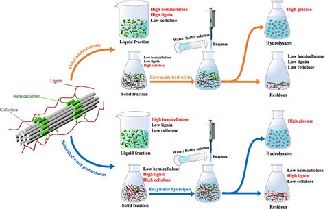 Hemicellulose Composition Cellulose And Hemicellulose Types