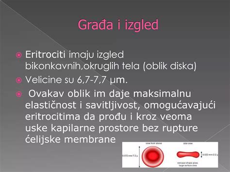 Eritrociti Tijana Jakovljevic PPT